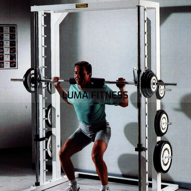 Multipower Technogym Lux – LUMA FITNESS